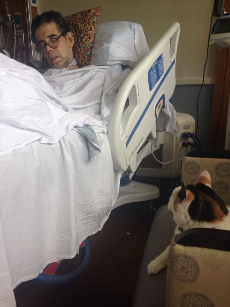 It’s National Respect Your Cat Day- For This Caregiver That’s Every Day ...
