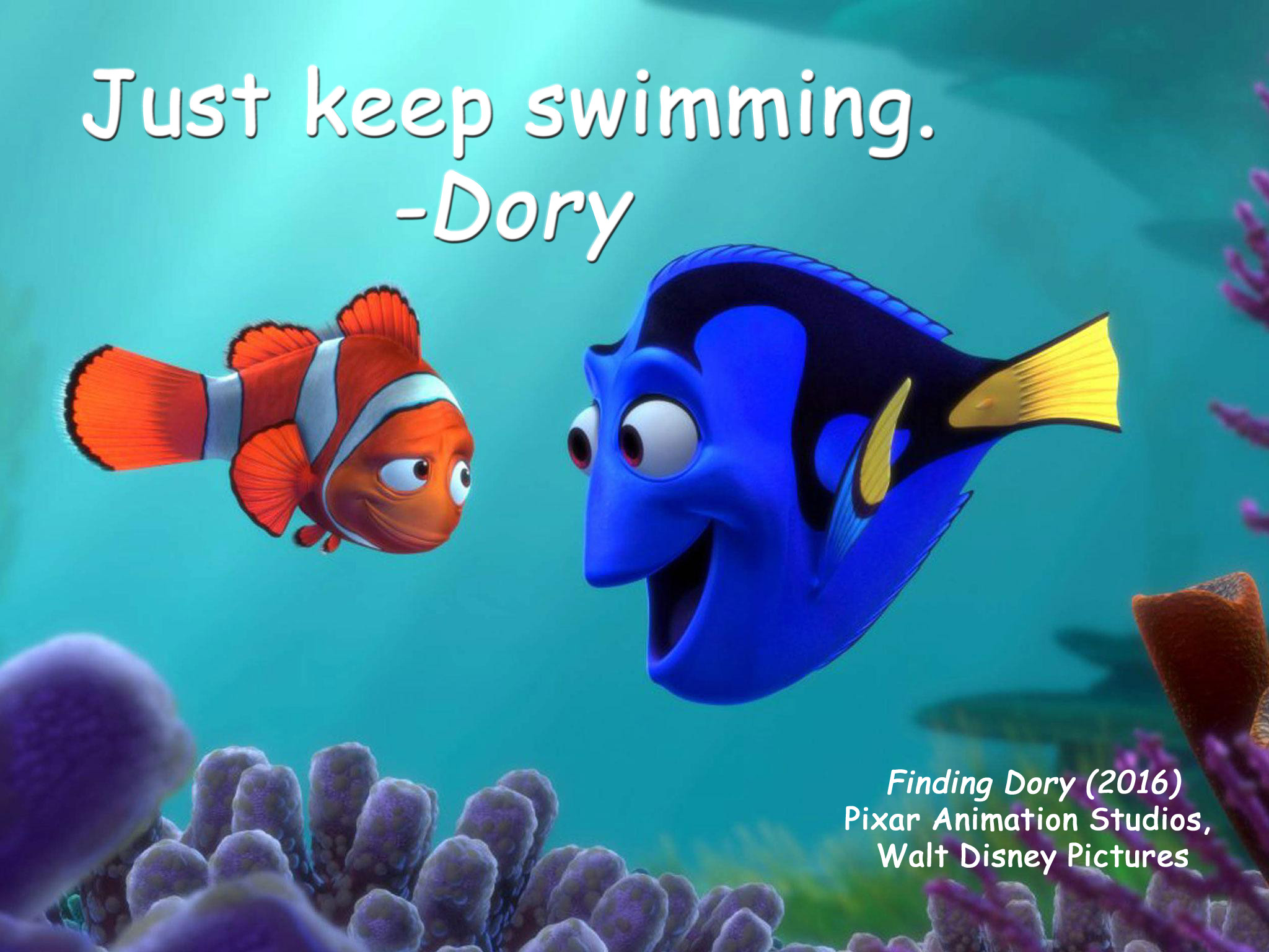 More Than “Just Keep Swimming”- Wisdom for Caregivers from Dory and ...
