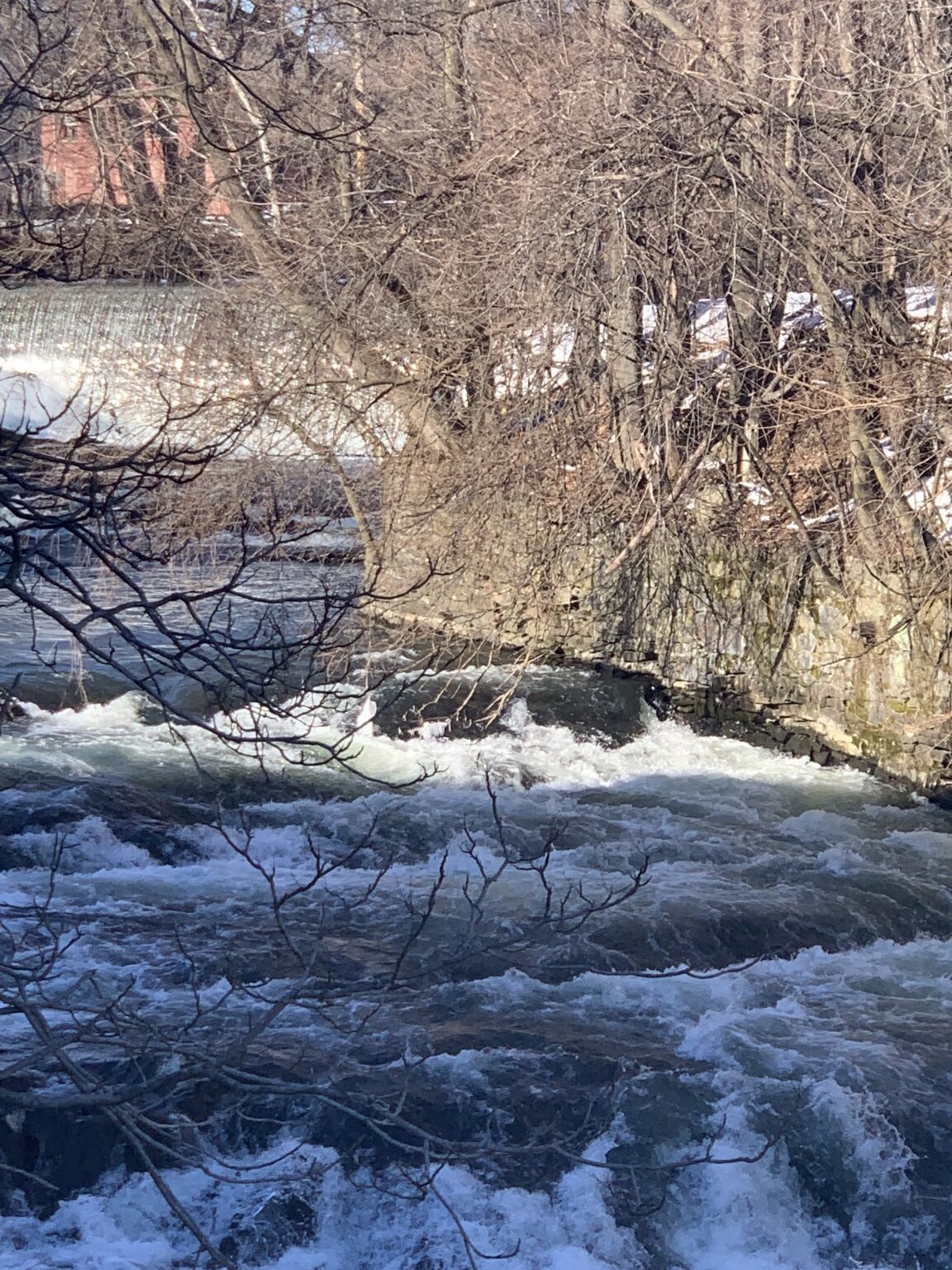 Pixie Dust for Caregivers – A Caregiver and Disney fan(atic) Reflects ...