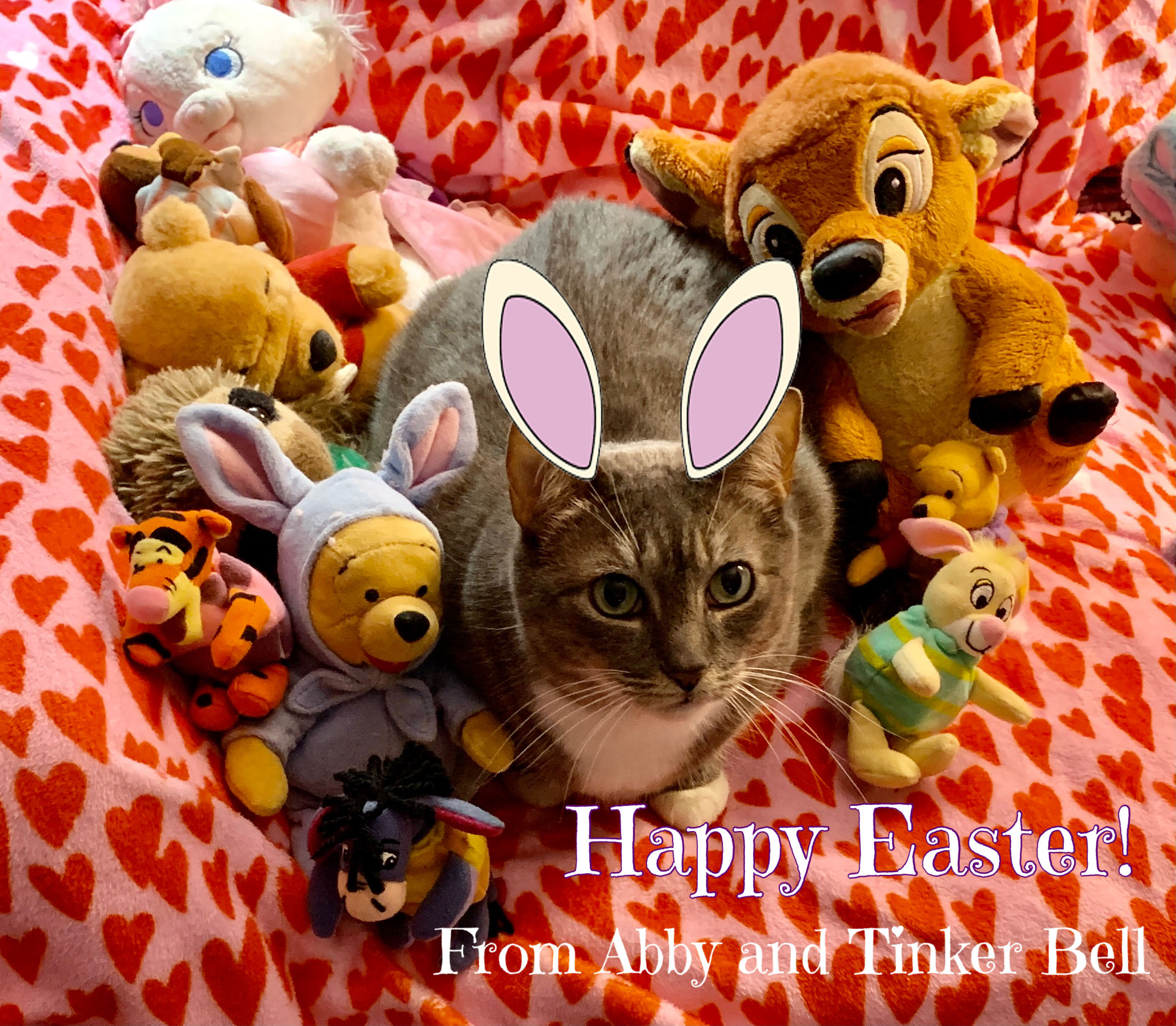 Thumper- A Special Bunny Who Knew About Caregiving and Friendship ...